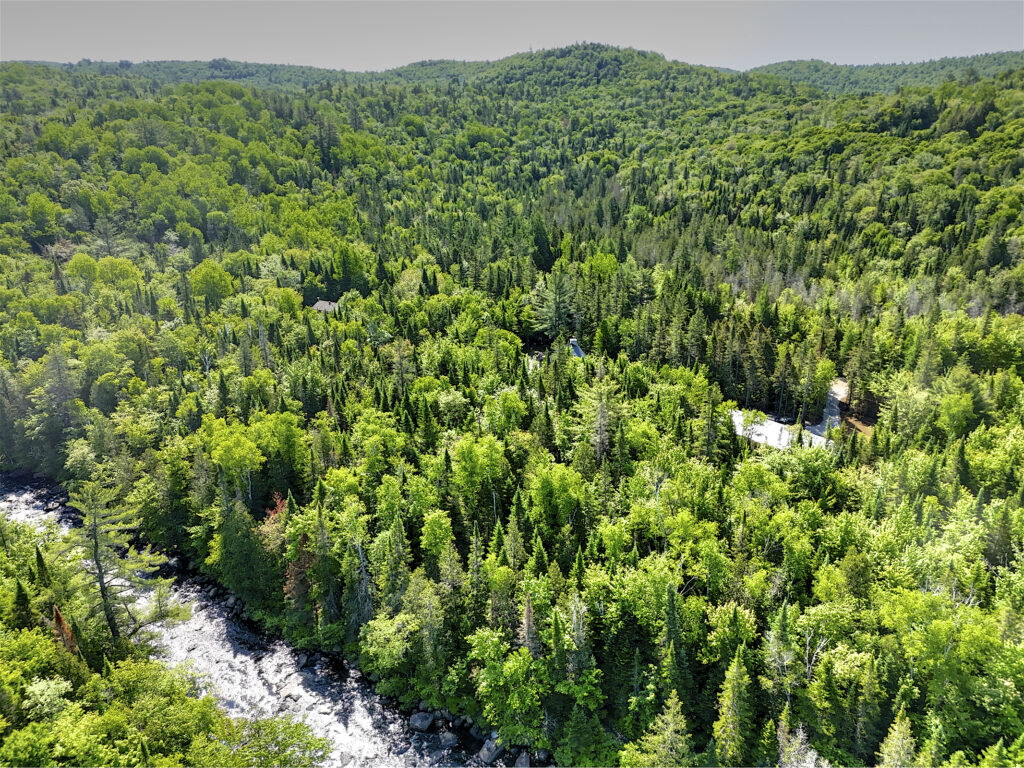 Randonnées automne Laurentides : 4 sentiers à Saint-Sauveur et environs